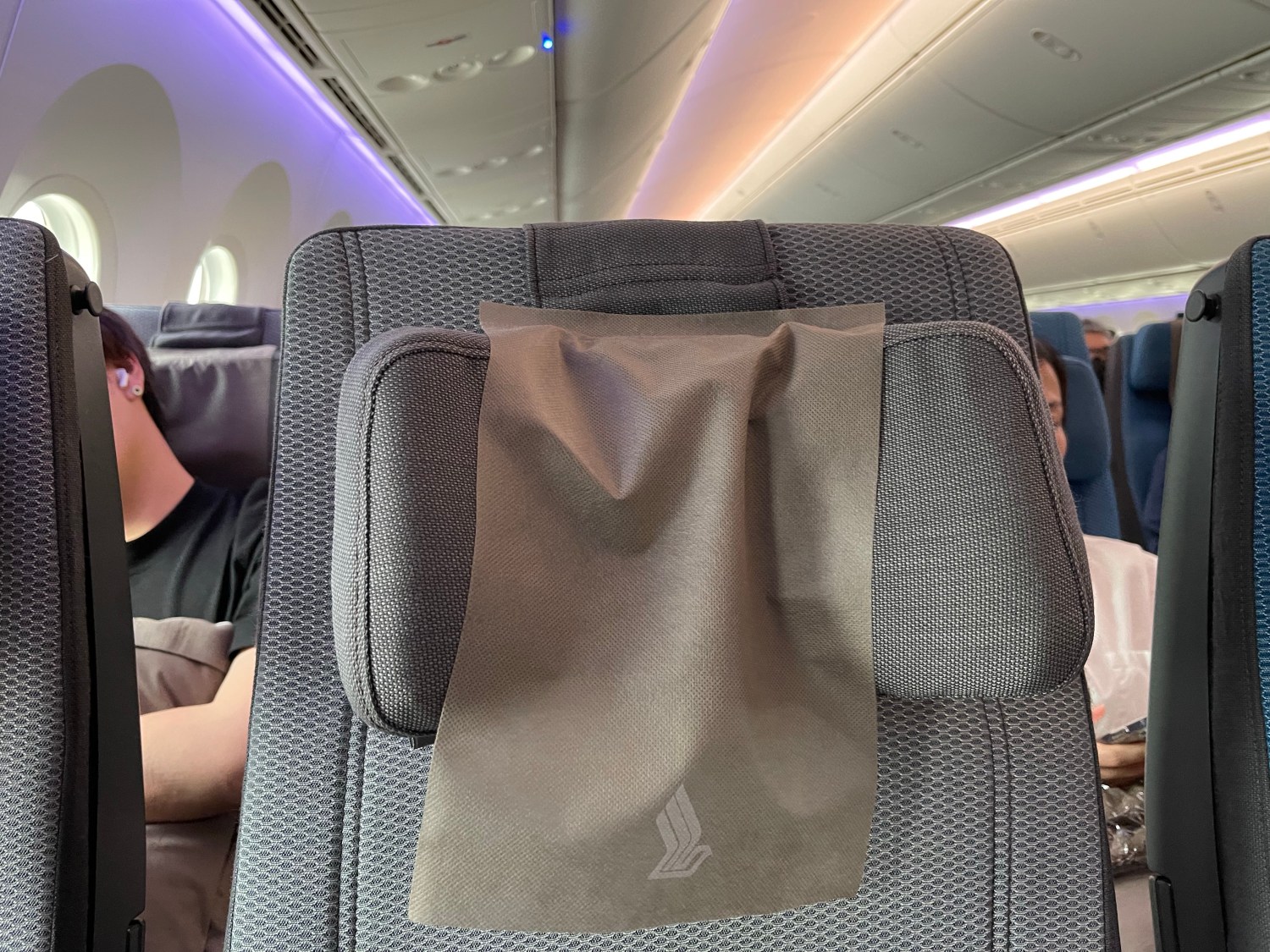 Silks X Taiwan: Singapore Airlines SQ876 787 Singapore to Taipei ...